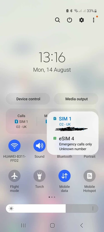 Eskimo eSim Review- Best Esim for long-term travel?